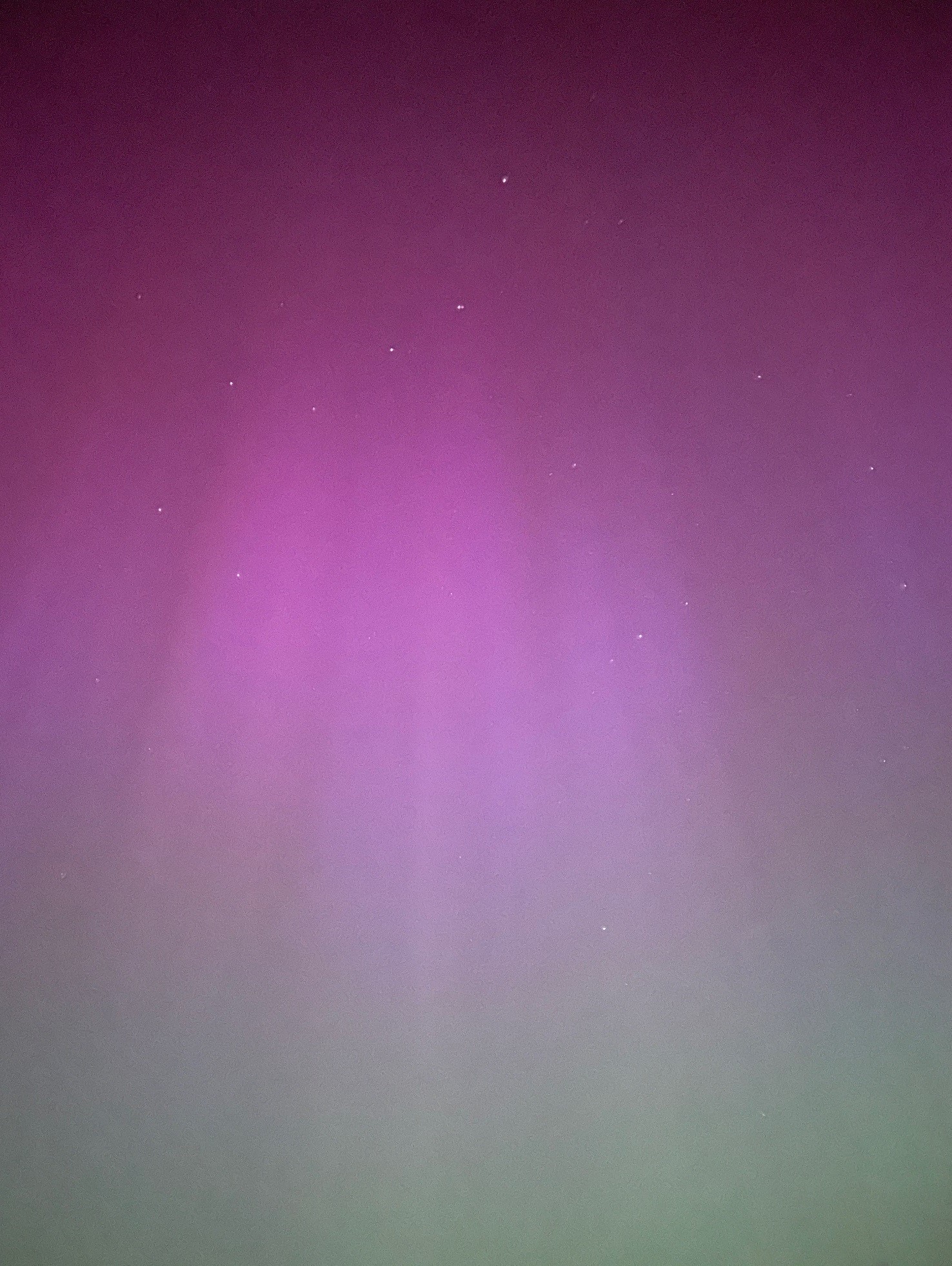 Nature's Night Lights - Buglife Blog - Buglife