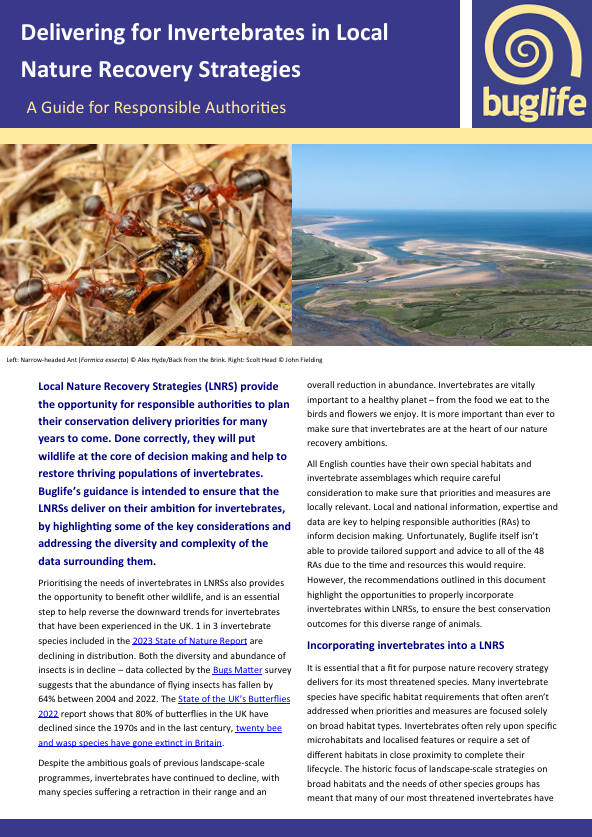 Local Nature Recovery Strategy Guidance in England - Buglife