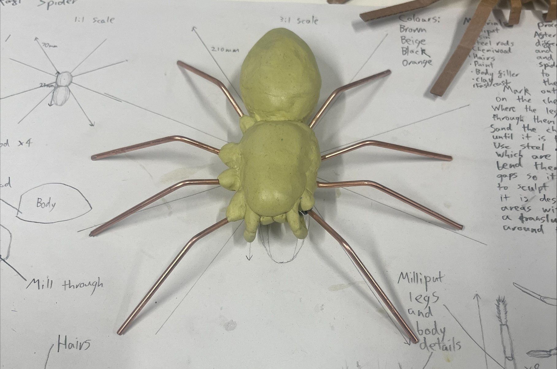 The aquatic spiders of the fens - Buglife Blog - Buglife