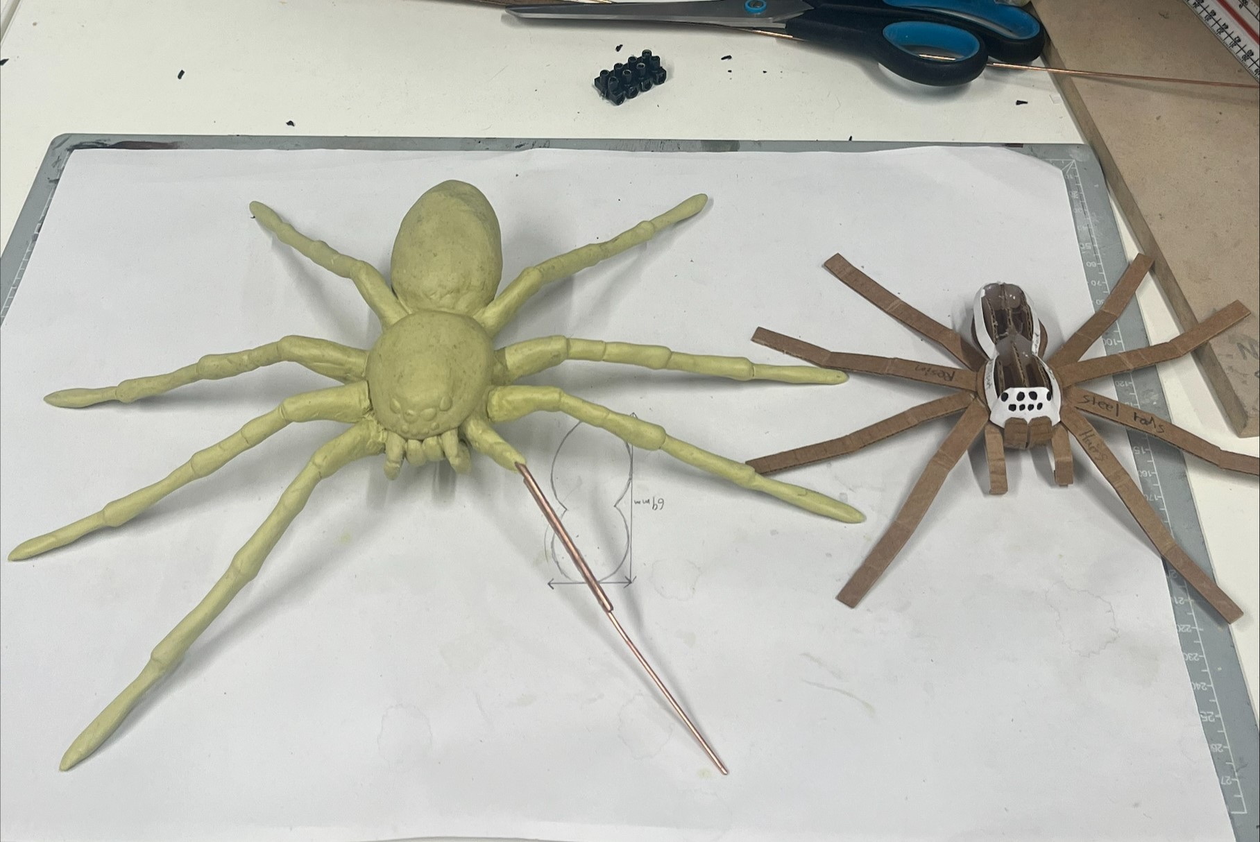 The aquatic spiders of the fens - Buglife Blog - Buglife