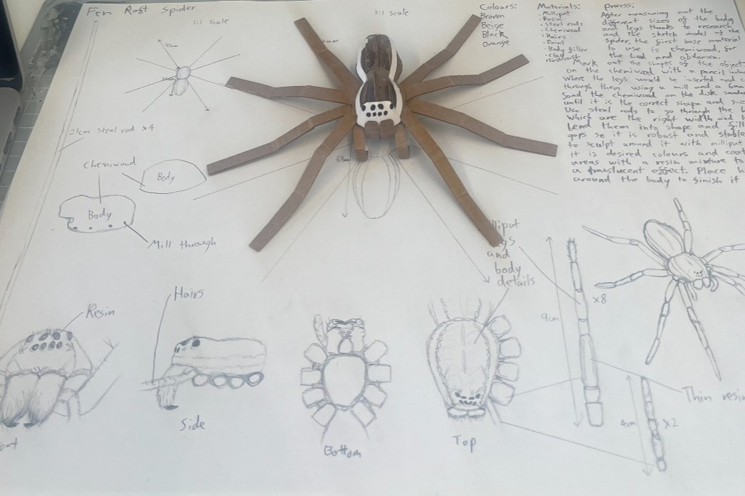 The aquatic spiders of the fens - Buglife Blog - Buglife