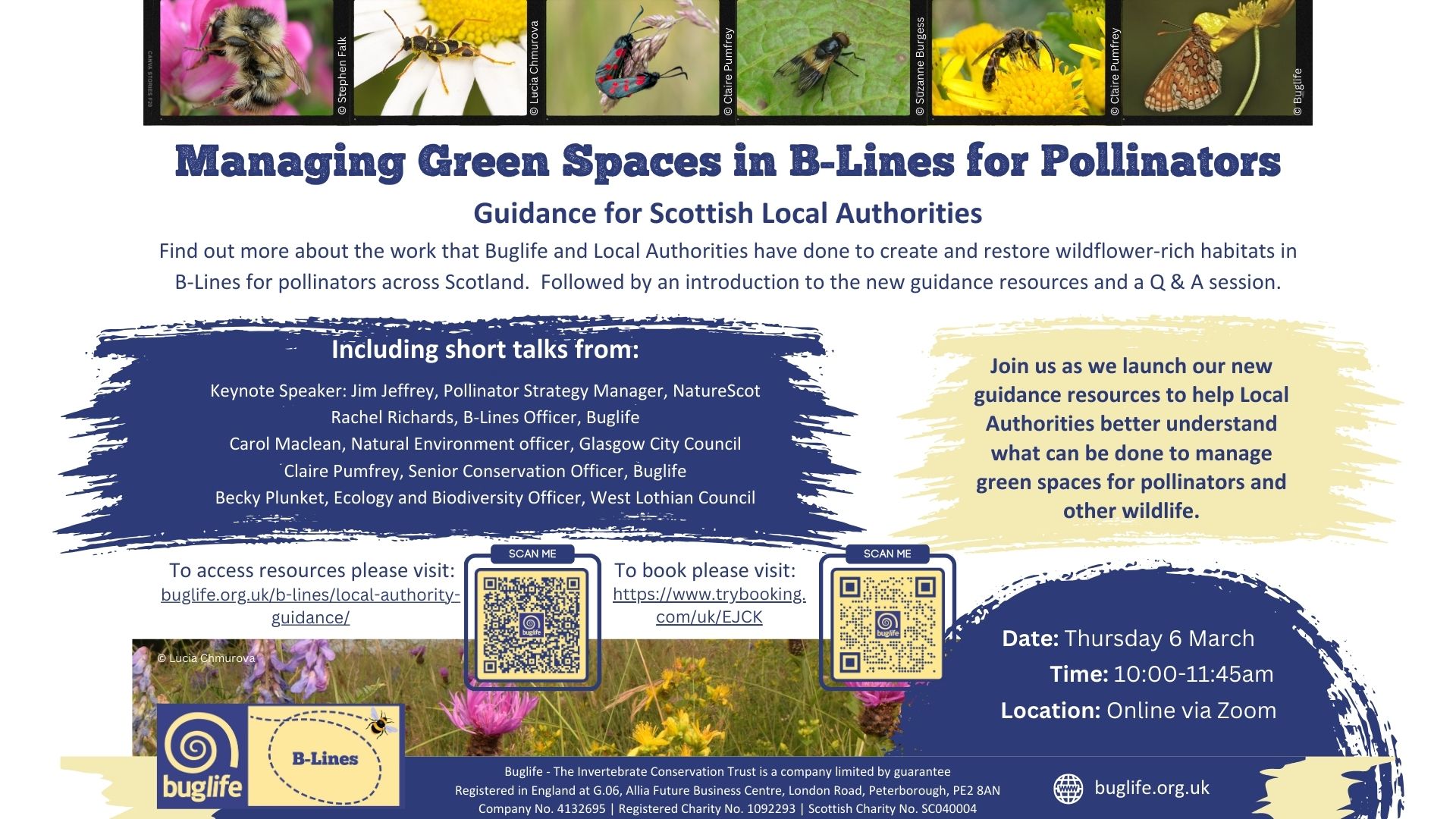 Managing Green Spaces in B-Lines for Pollinators in Scotland - Upcoming events related to Buglife