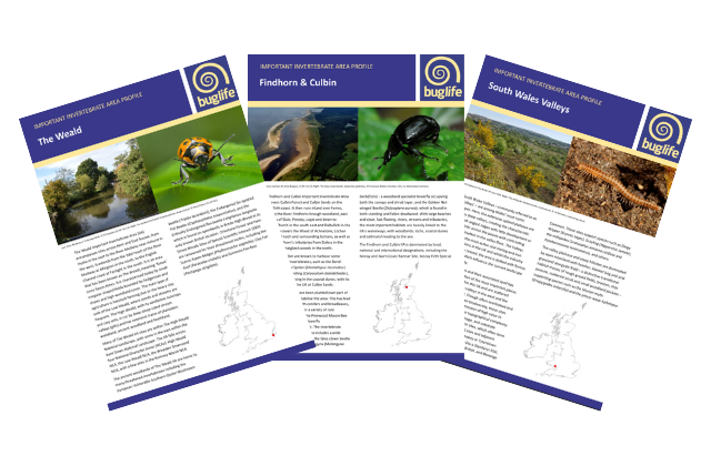 IIA Document Library - Buglife