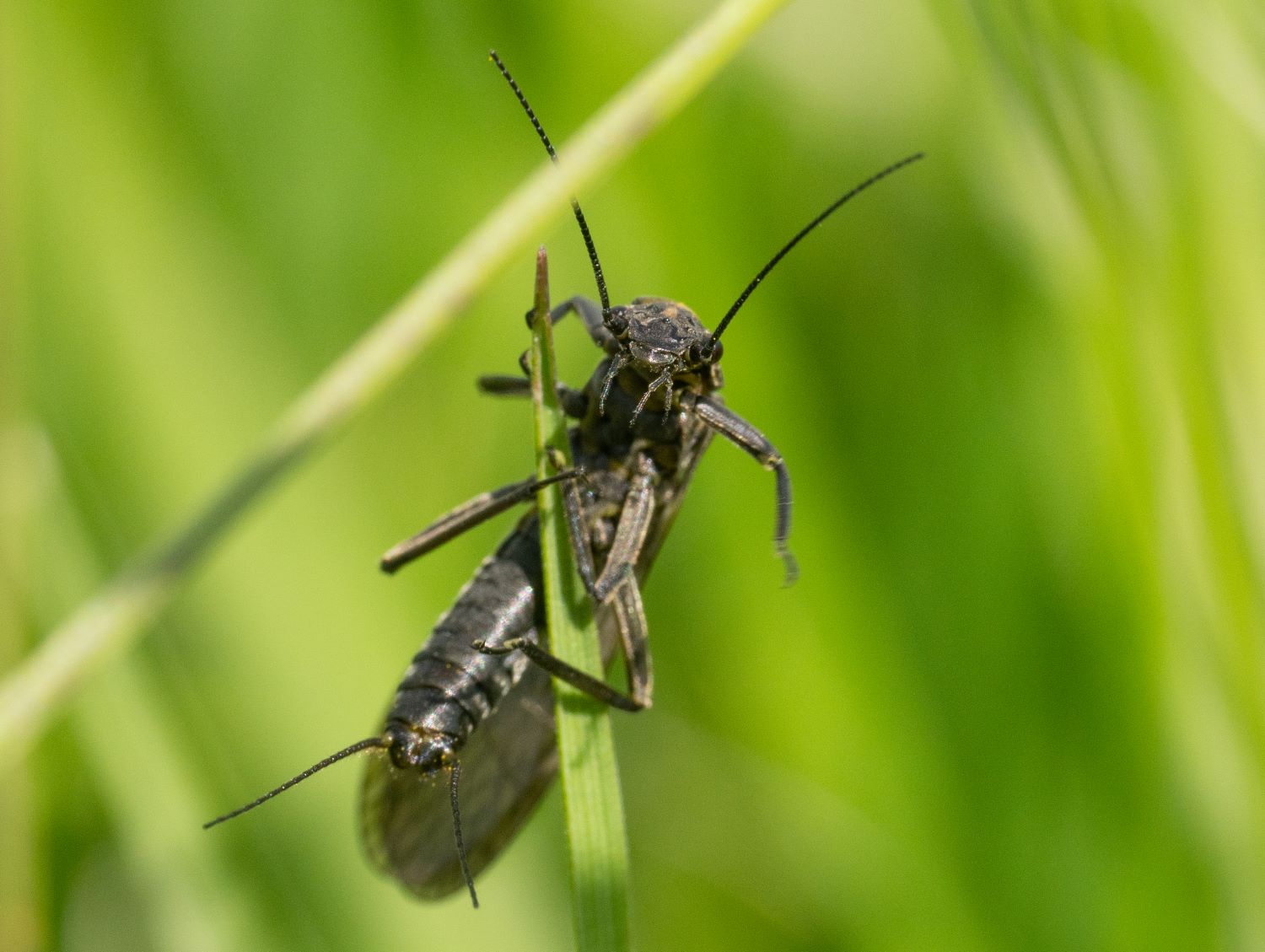 Pensychnant's Open Art Exhibition 2025 (5 July - 28 September ...