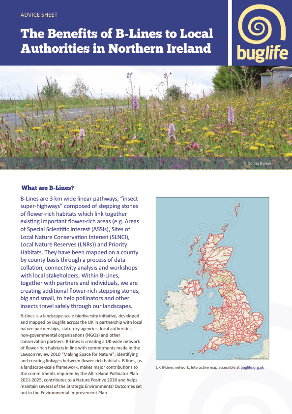 Local Authority Guidance for Northern Ireland - Buglife