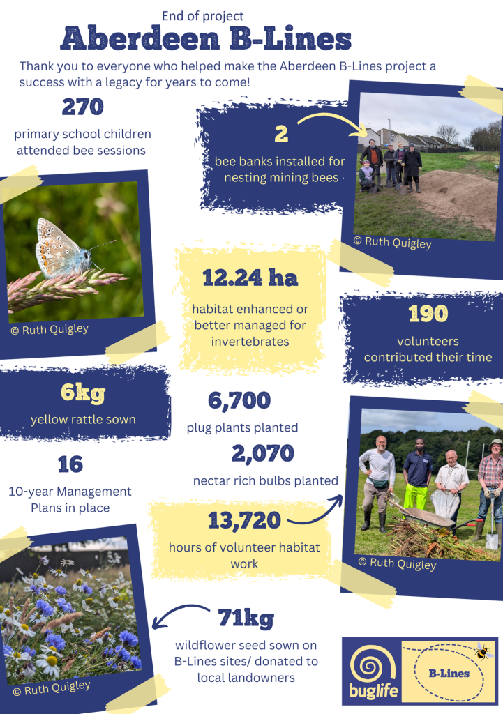 Aberdeen B-Lines - Buglife projects