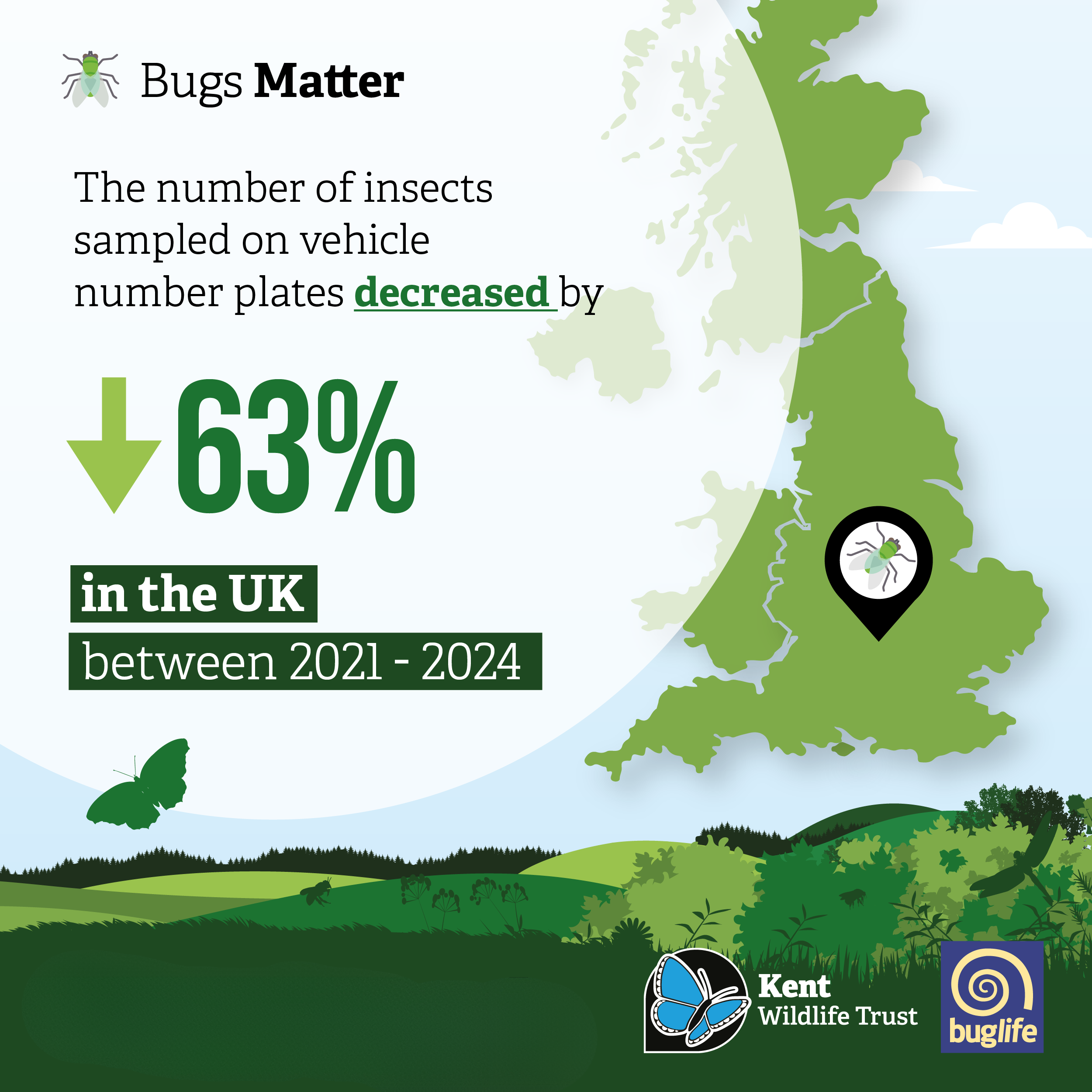 Bugs Matter survey shows ongoing decline in UK flying insects - Buglife ...
