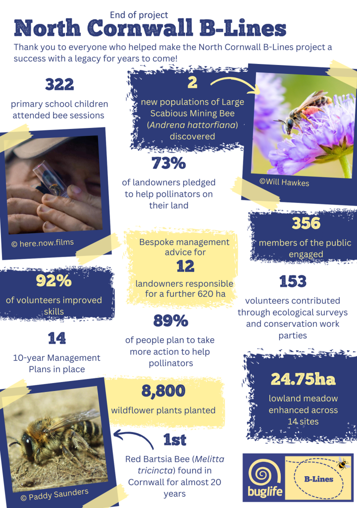 North Cornwall B-Lines - Buglife projects