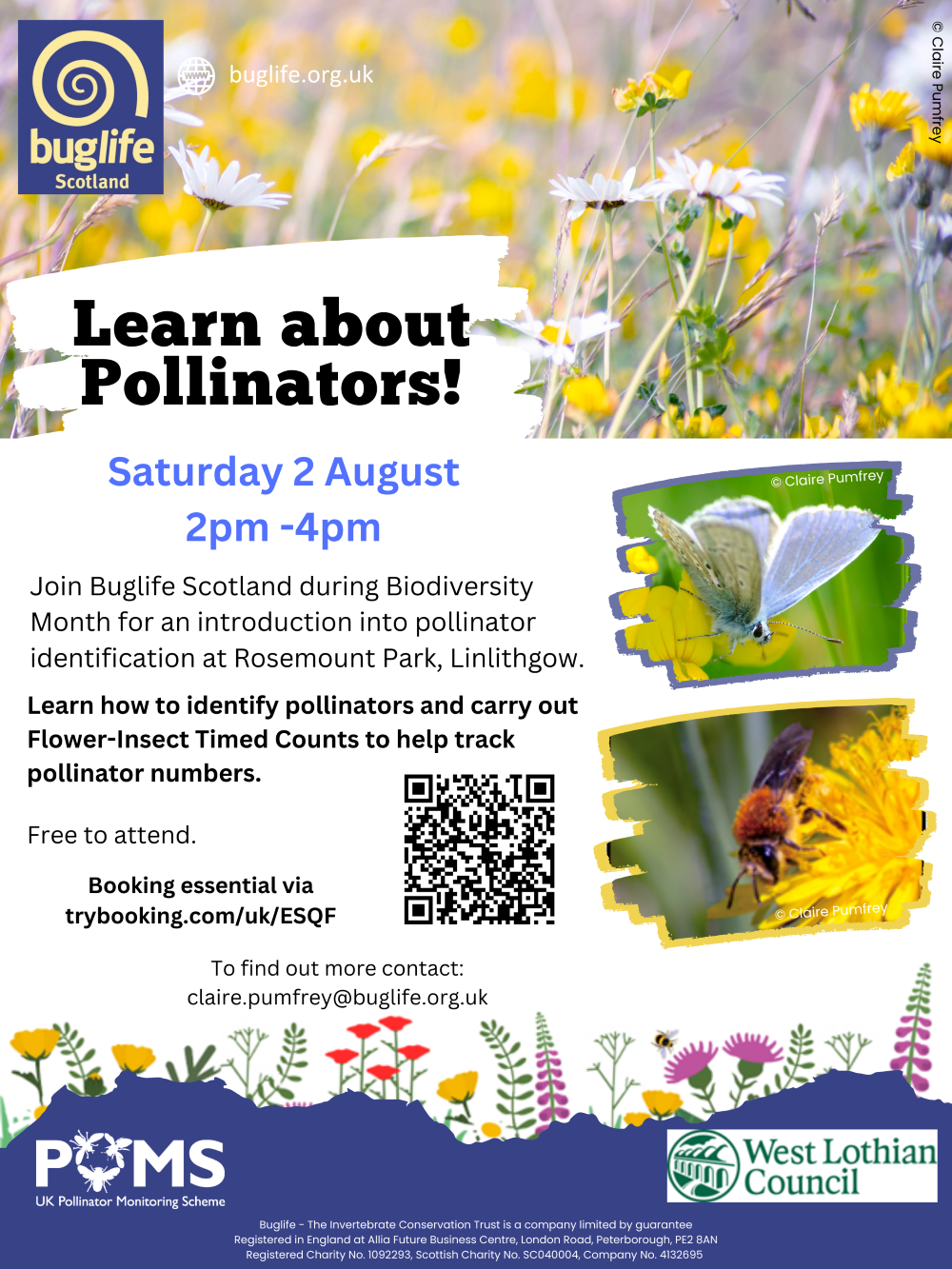 Learn about Pollinators at Rosemount Park - Upcoming events related to Buglife