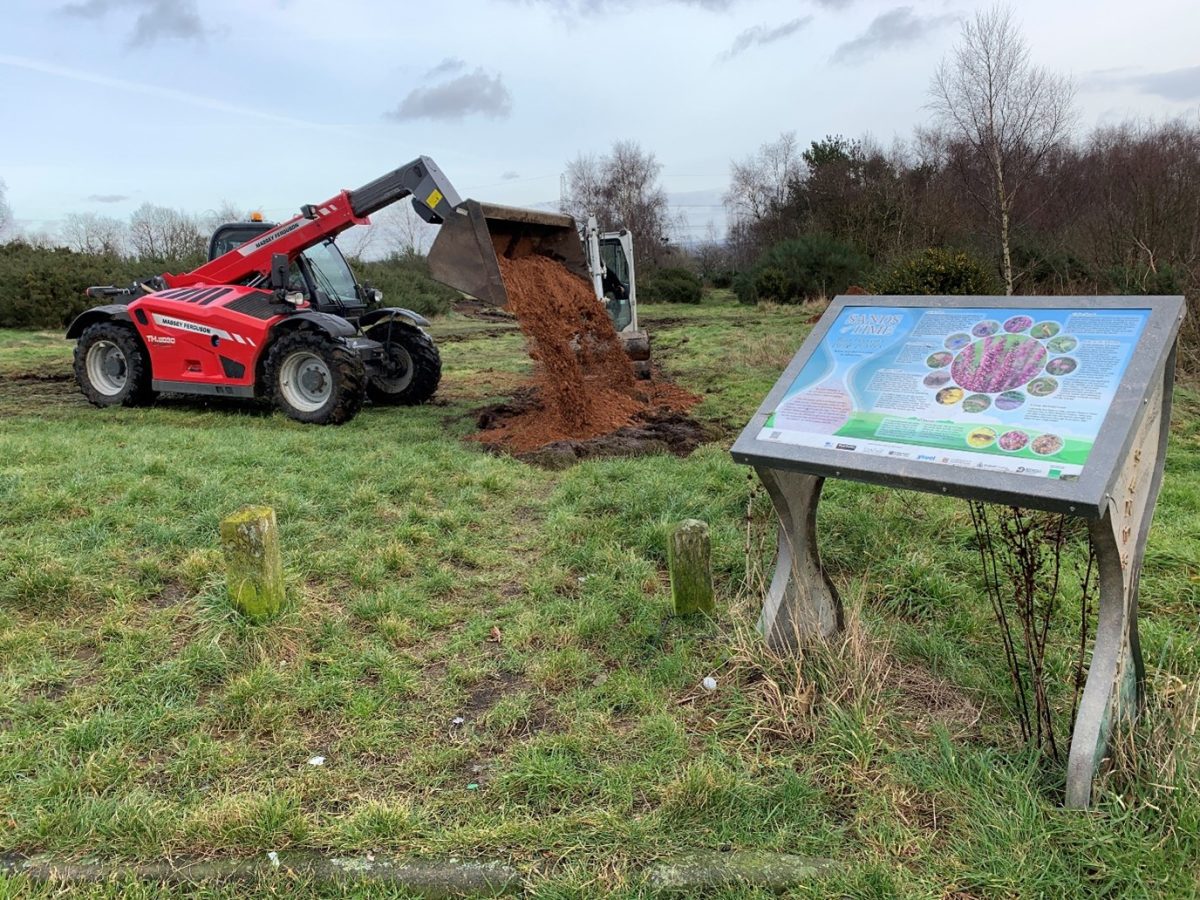 Bare ground experiments to help save rare bees and wasps - Buglife Blog ...