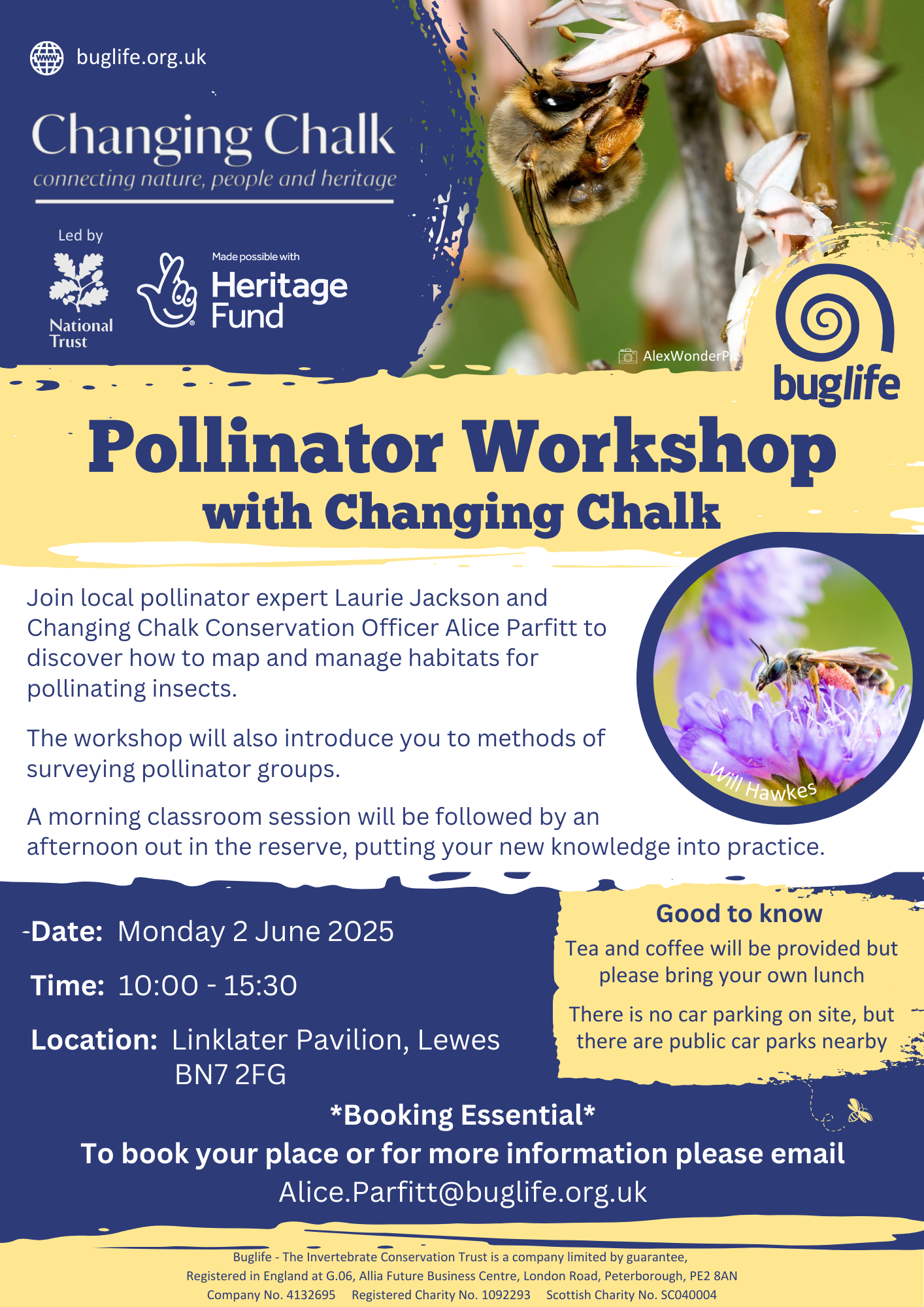 Pollinator Workshop with Changing Chalk - Upcoming events related to Buglife