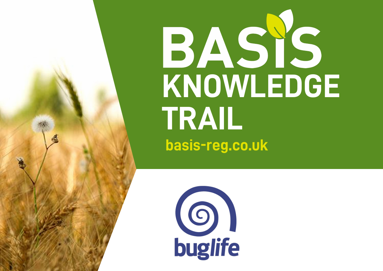 Groundswell - The Regenerative Agriculture Festival - Upcoming events related to Buglife