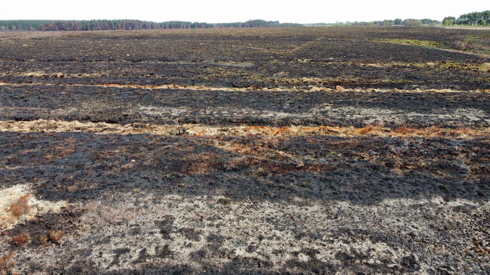Burning bogs. - Buglife Blog - Buglife