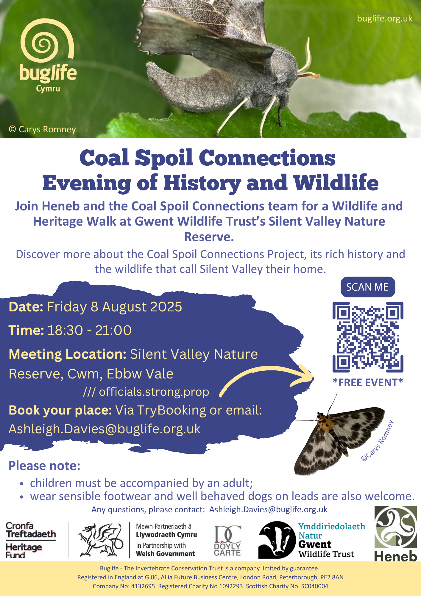 Coal Spoil Connections Evening of History and Wildlife - Upcoming events related to Buglife