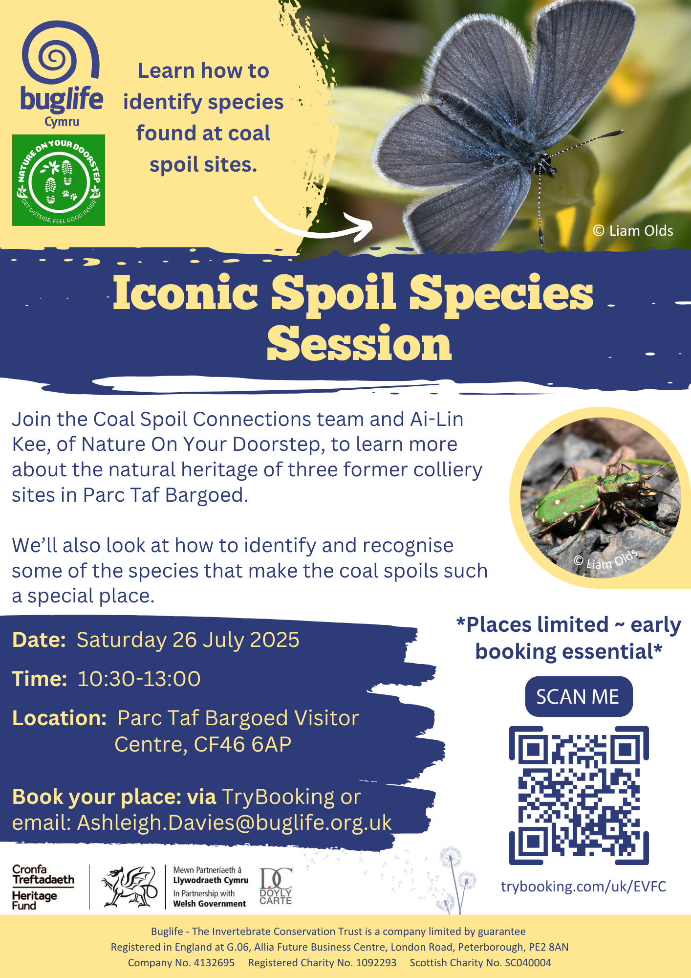 Iconic Spoil Species Session - Upcoming events related to Buglife