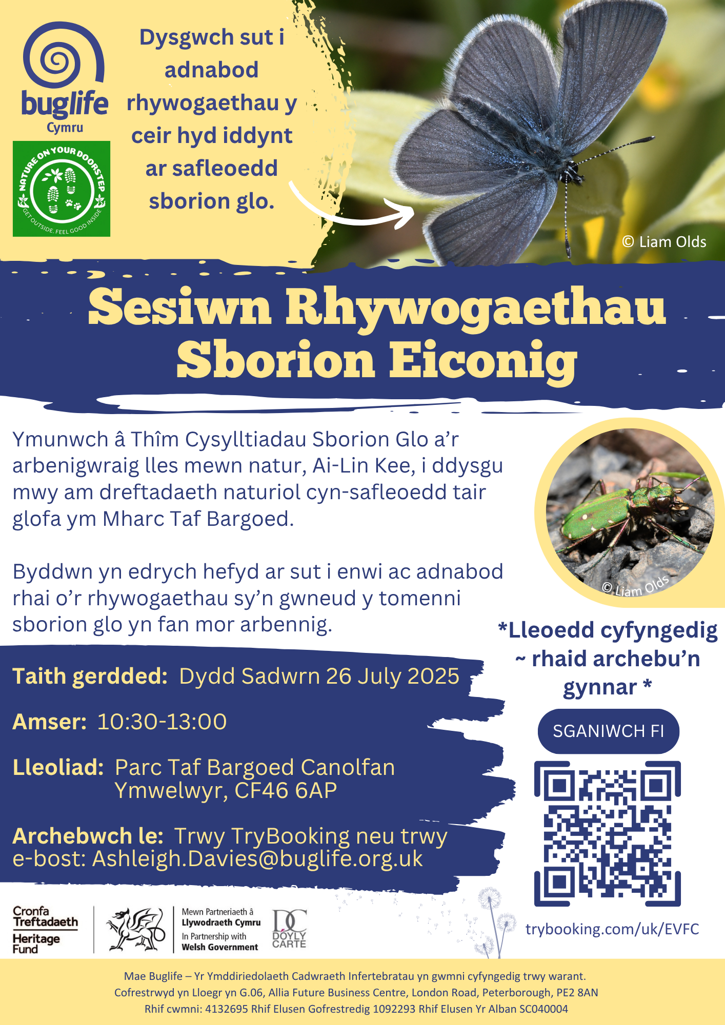 Iconic Spoil Species Session - Upcoming events related to Buglife