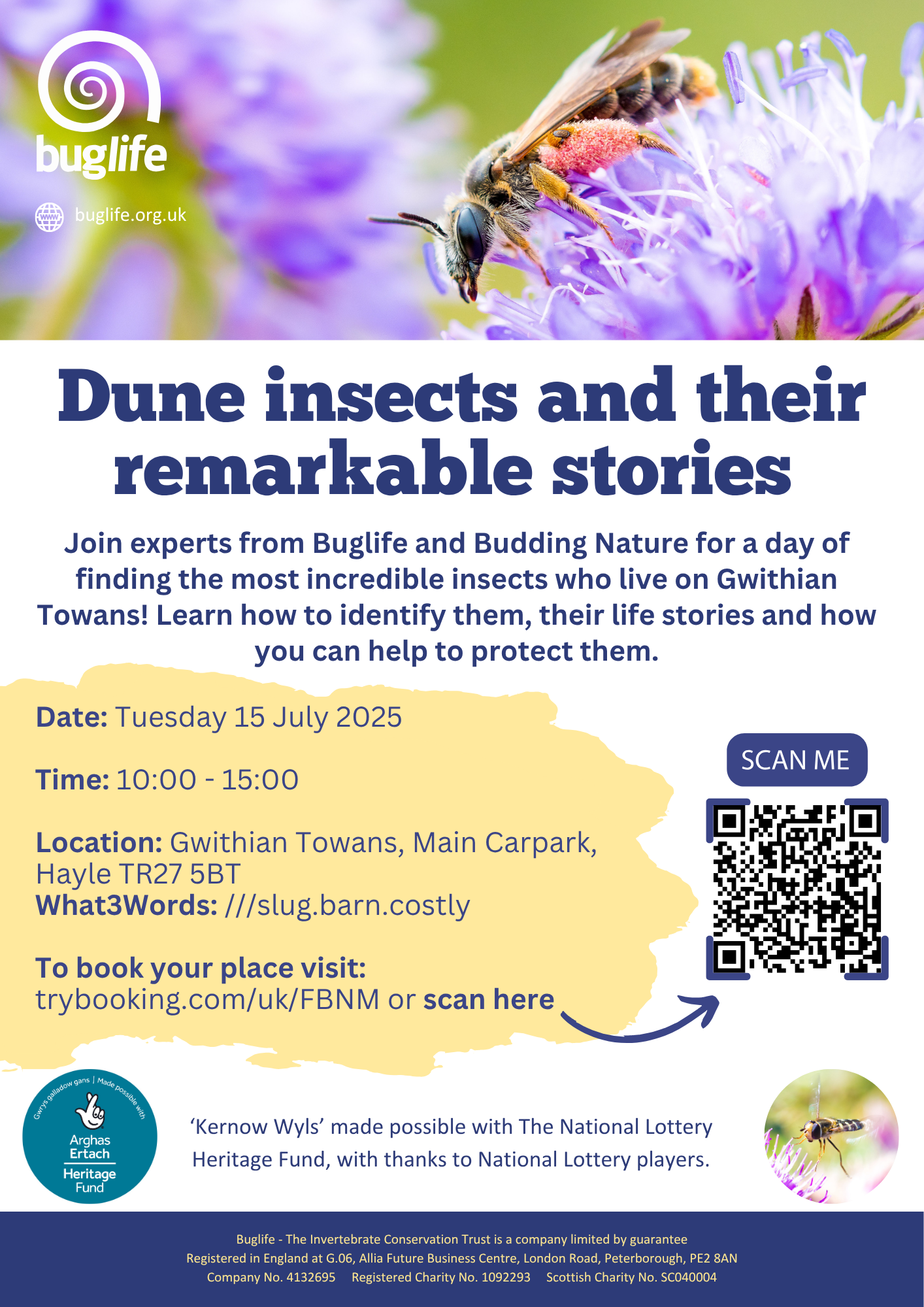 Dune insects and their remarkable stories - Upcoming events related to ...