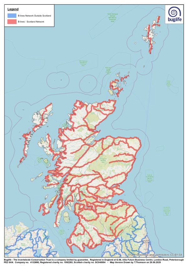 Downloadable B-Lines Maps - Buglife