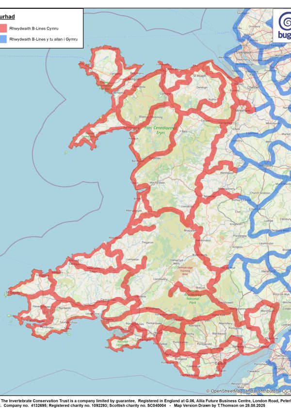 Downloadable B-Lines Maps - Buglife