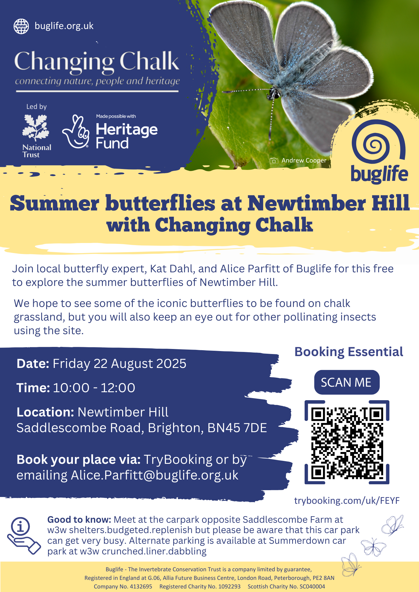 Summer butterflies at Newtimber Hill with Changing Chalk - Upcoming events related to Buglife