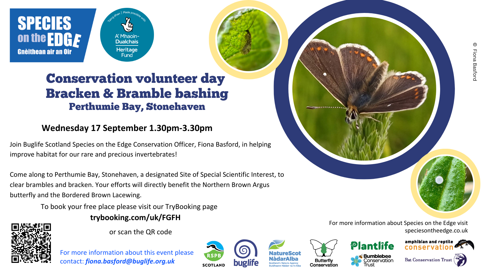 Conservation Volunteer Day - Bracken & Bramble Bashing - Upcoming events related to Buglife