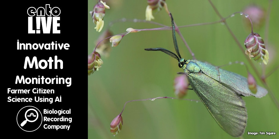 Innovative Moth Monitoring: Farmer Citizen Science Using AI with The ...