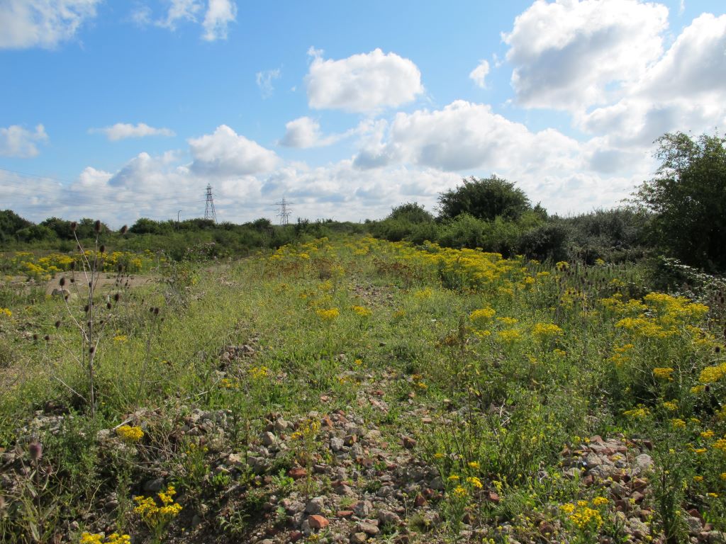 Identifying Open Mosaic Habitat - Buglife