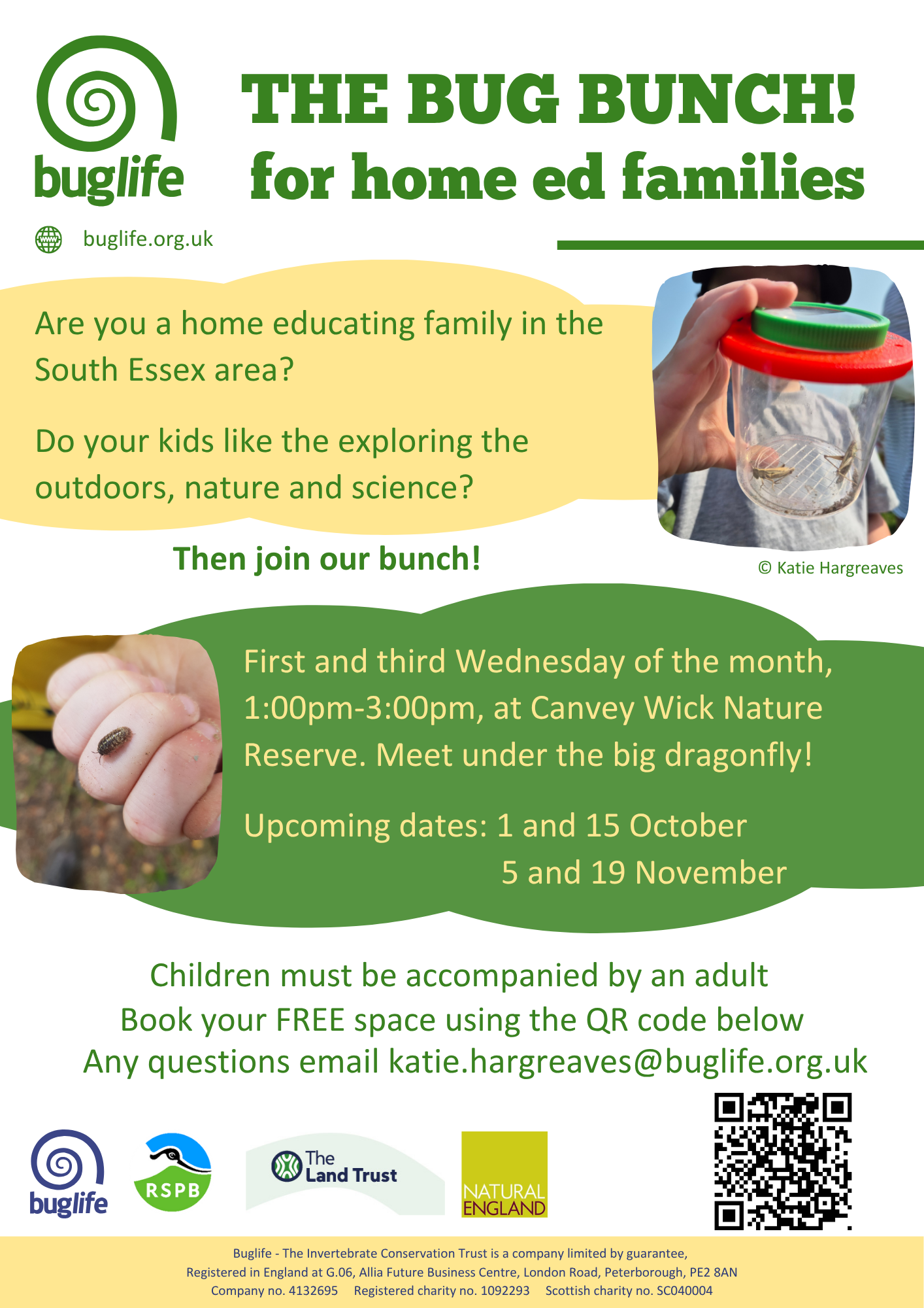 The Bug Bunch! For Home Ed Families - Canvey Wick - Upcoming events related to Buglife